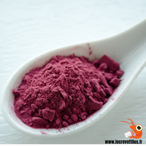 Poudre Betterave BIO - Le Crevettilus